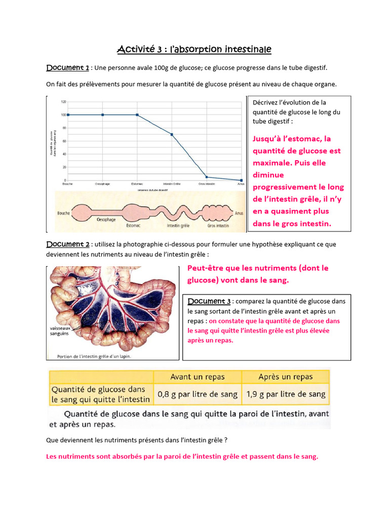 Schéma de l'absorption intestinale | PDF | Tractus gastro-intestinal | Sang