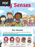 5 Senses Booklet | PDF
