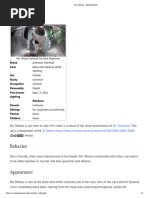 The Gluttonous Beast - StreetCatWiki | PDF | Cats