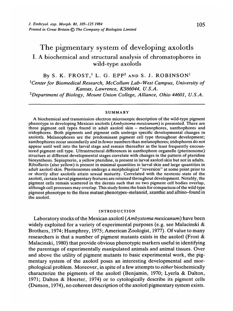 Axolotl Pigment Cell Development Study | PDF | Thin Layer Chromatography | Skin