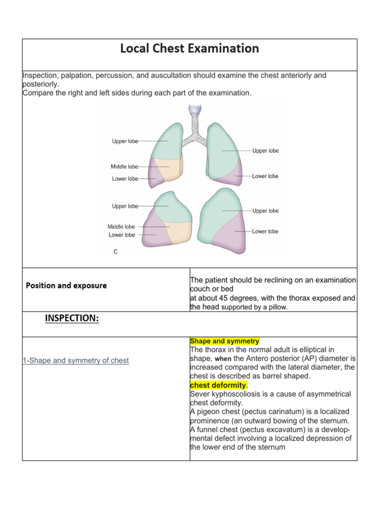 CSL2 - Local Chest Examination | PDF | Thorax | Lung