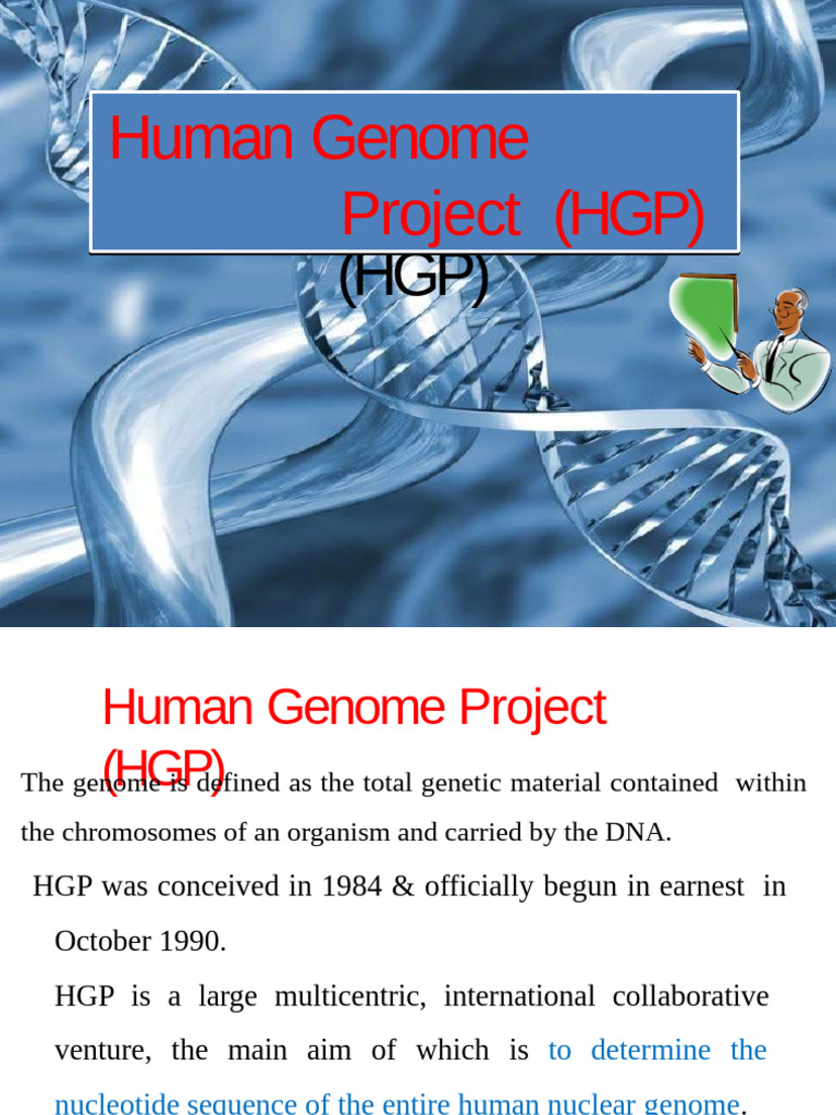 Human Genome Project | PDF | Human Genome | Genome
