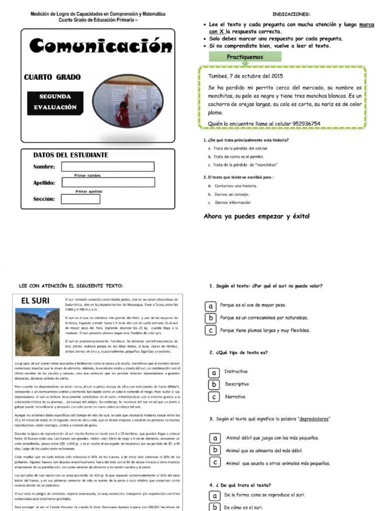 Examen Comunicación Pdf