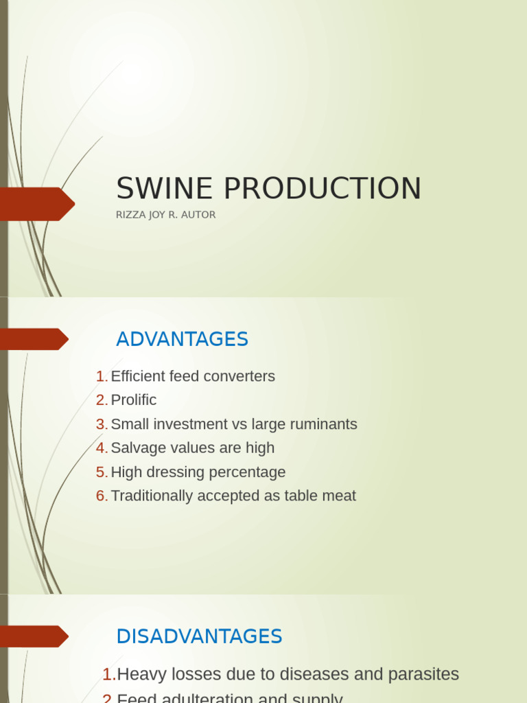 Swine Production | PDF | Pig | Wild Boar