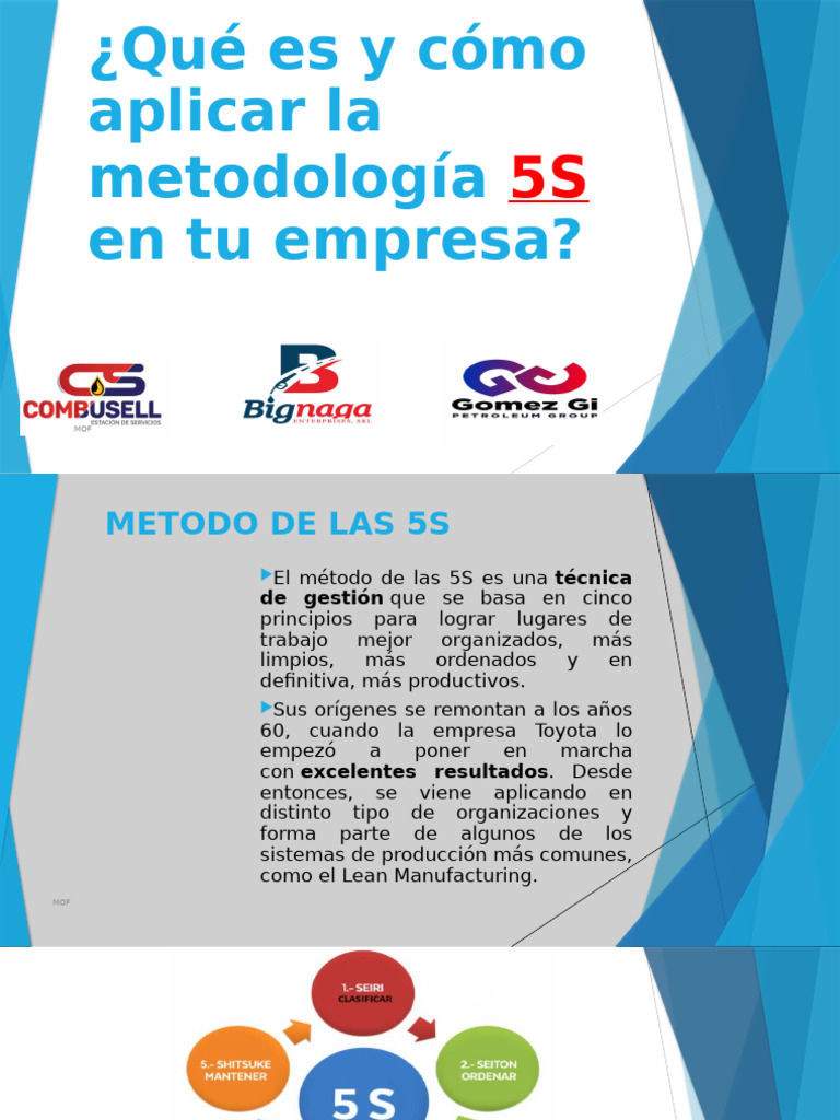 Pograma de Las 5s | PDF