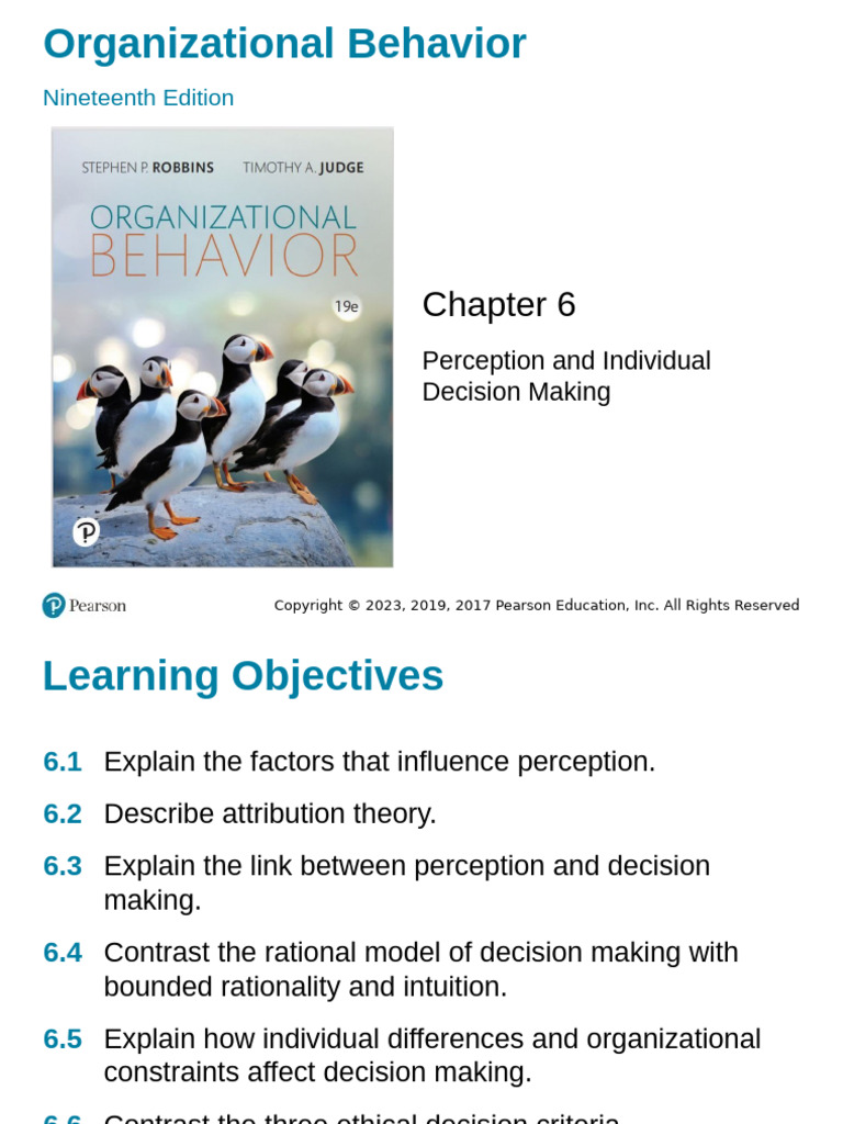 Perception and Individual Decision Making | PDF | Decision Making | Rationality