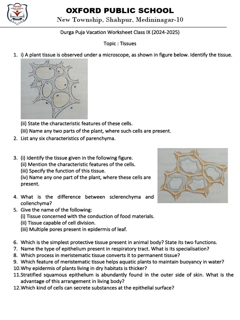 DP Vacation Assignment Class 9-Biology | PDF | Tissue (Biology) | Epithelium