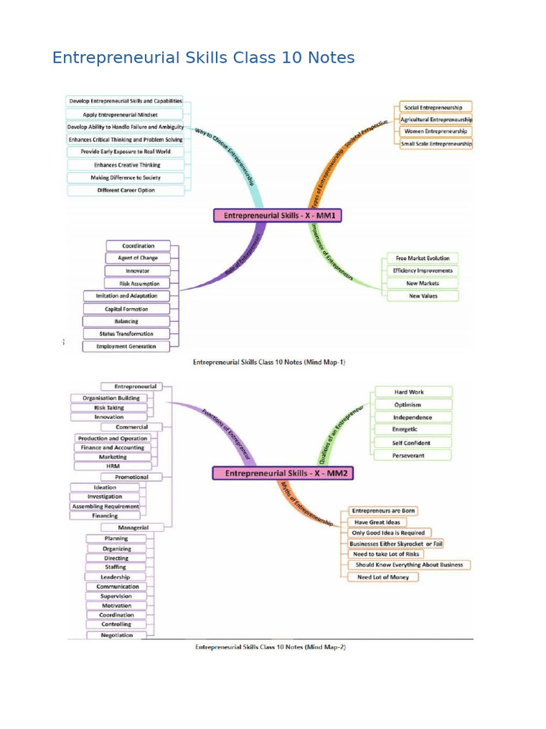 Class 10 Entrepreneurial Skills Notes | PDF | Entrepreneurship | Social ...