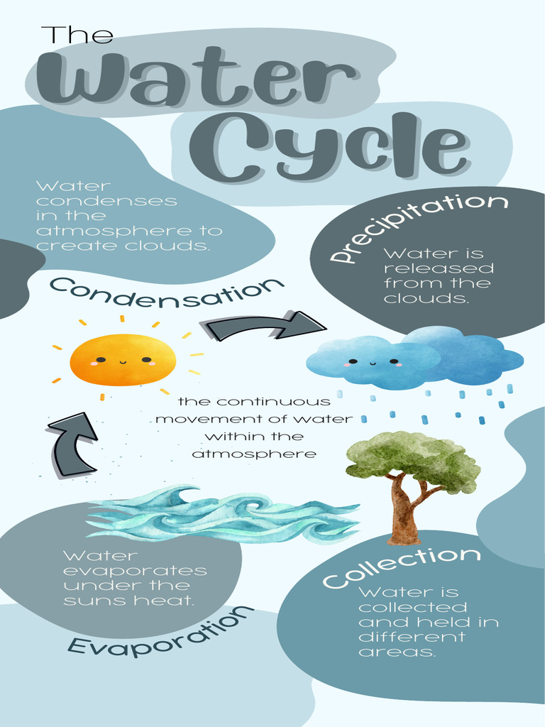 Water Cycle: Precipitation and Evaporation | PDF