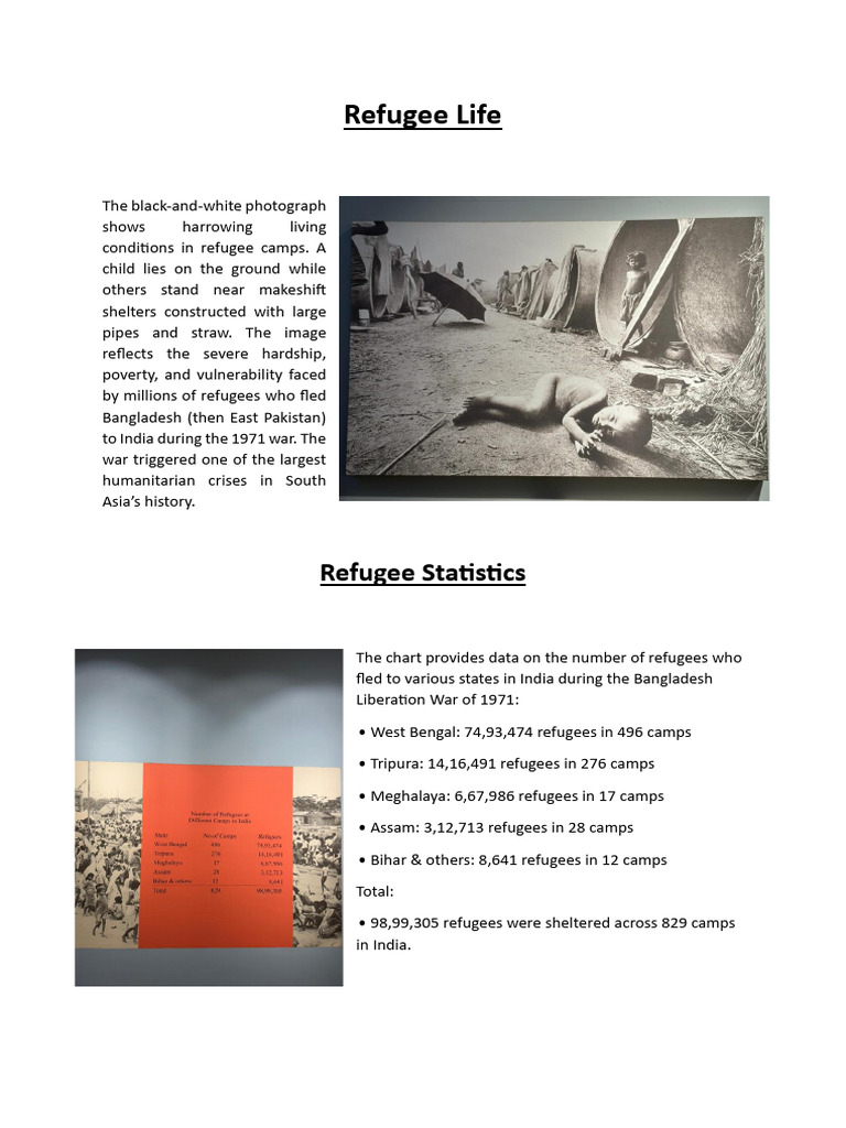 Refugee Life | PDF
