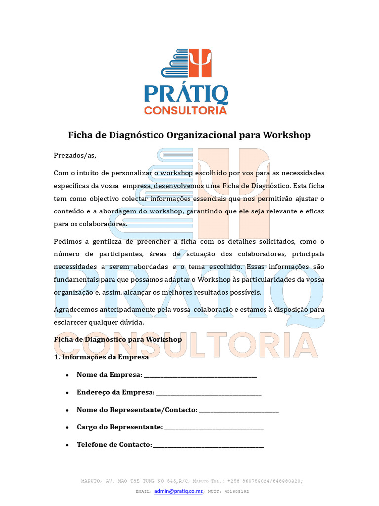 Ficha de Diagnóstico Organizacional para Workshop_PRATIQ CONSULTORIA | PDF