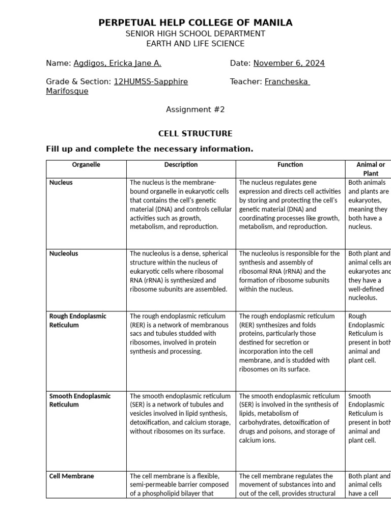 ASS2-CELL-STRUCTURE.docx.2 | PDF | Endoplasmic Reticulum | Cell (Biology)