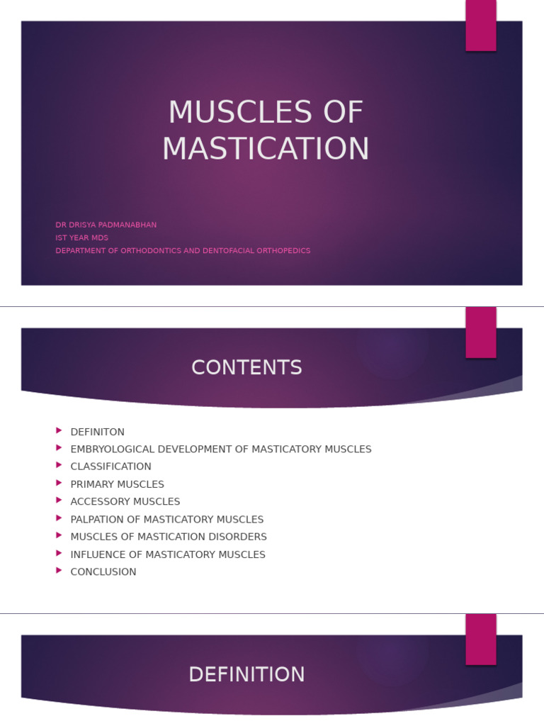 Muscles of Mastication Guide | PDF | Human Anatomy | Human Head And Neck