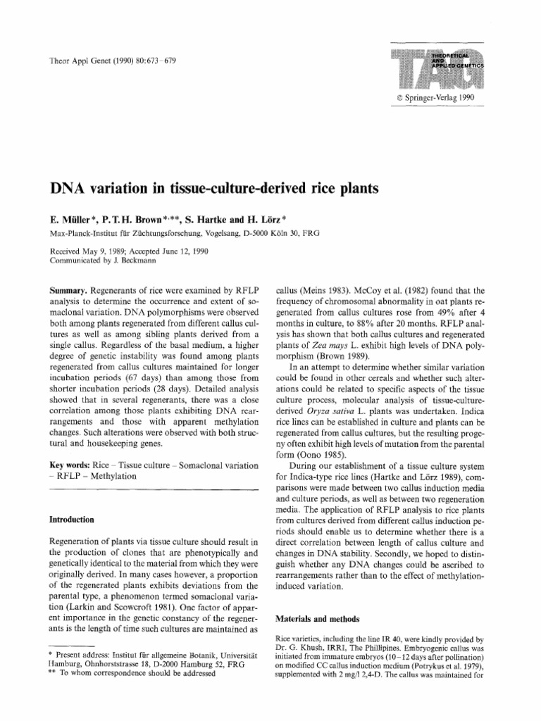 DNA Variation in Tissue-Culture-Derived Rice Plants | PDF | Restriction Enzyme | Dna Methylation