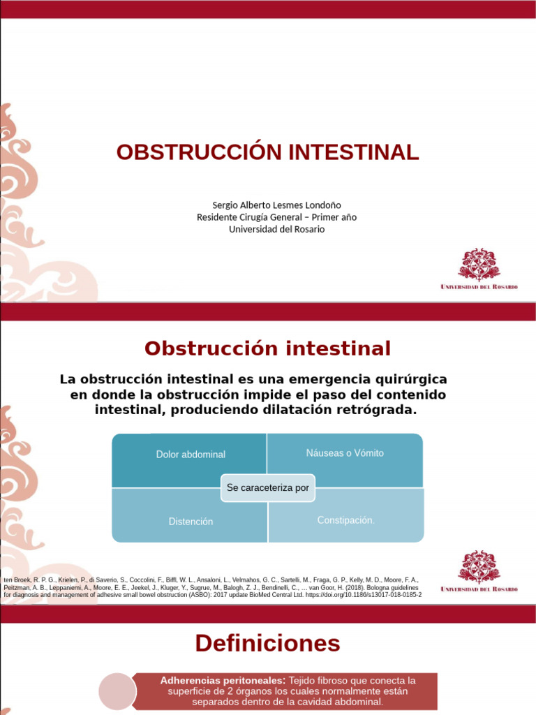 Guía sobre Obstrucción Intestinal | PDF | Causas de la muerte ...