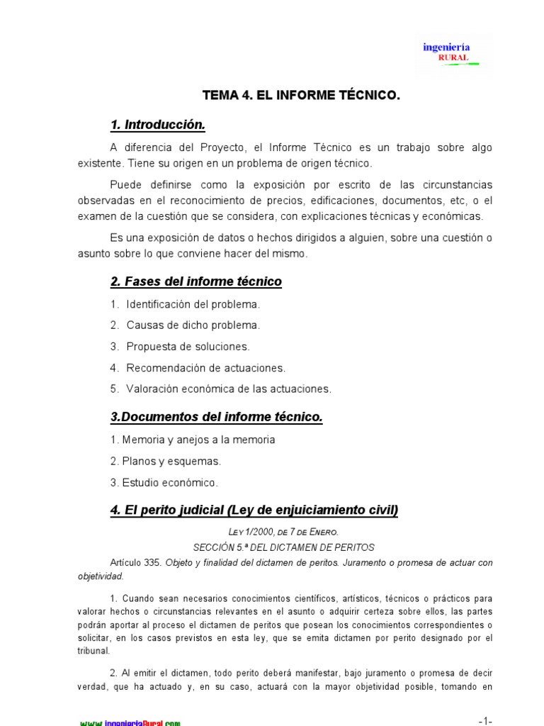 Modelo de Informe Tecnico | Perito | Política
