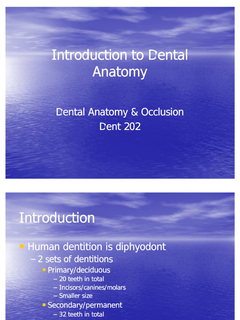 Introduction To Dental Anatomy | PDF | Dental Anatomy | Animal Anatomy