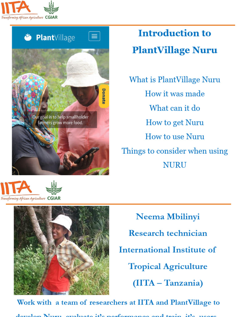 INTRODUCTION-TO-PLANTVILLAGE-NURU-POWER-POINT.-2 | PDF | Clinical Medicine