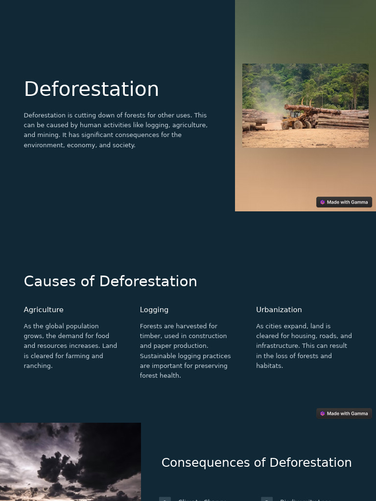 Deforestation 1 Pdf Deforestation Logging