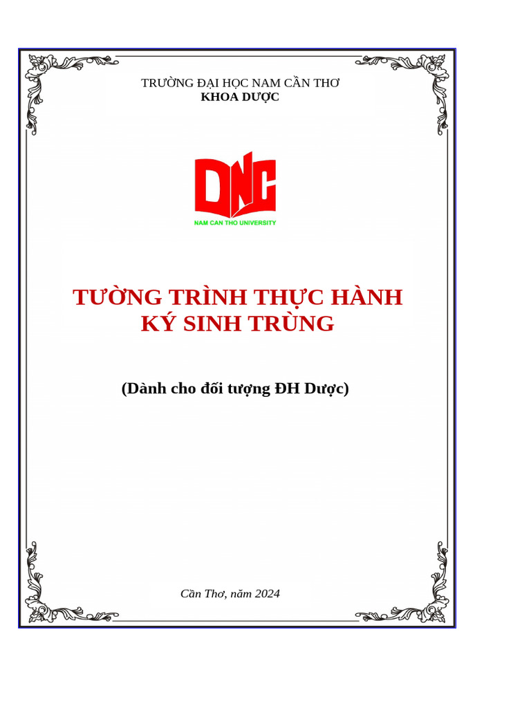 Bài Báo Cáo KST | PDF