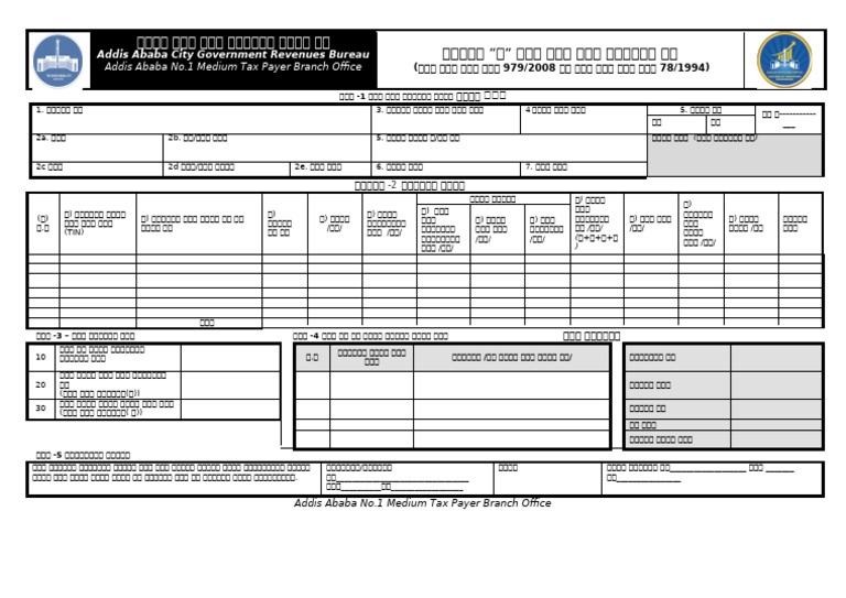 Income Tax Employment Income Tax Declaration Amharic | PDF