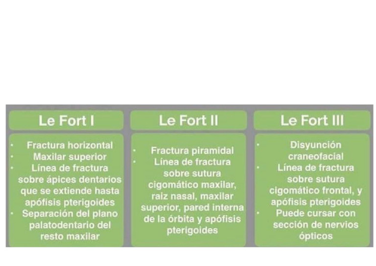 Lefor Clasificasion | PDF