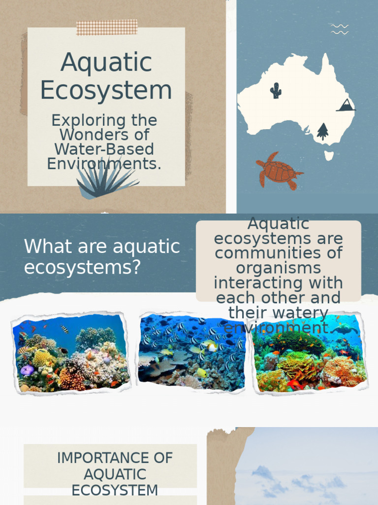 Aquatic Ecosystem | PDF | Aquatic Ecosystem | Wetland