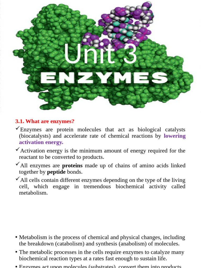 Grade 11_Unit 3 (1) | PDF | Enzyme | Enzyme Inhibitor