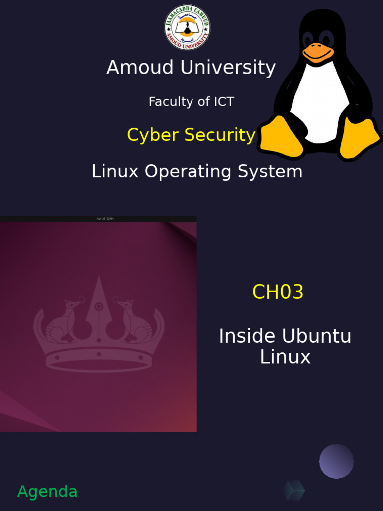 CH03 | PDF | Computer File | Desktop Environment