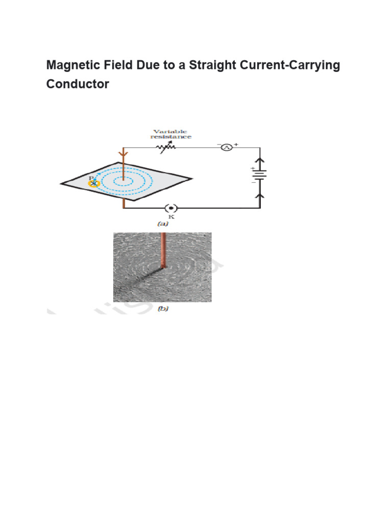 Physics: Magnetic Fields & Conductors | PDF | Magnetic Field | Applied ...