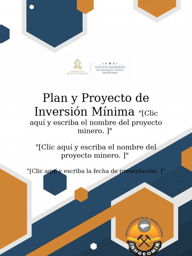 V-1.0-Formato-Plan-y-Proyecto-de-Inversion-Minima (4) (1) | PDF ...