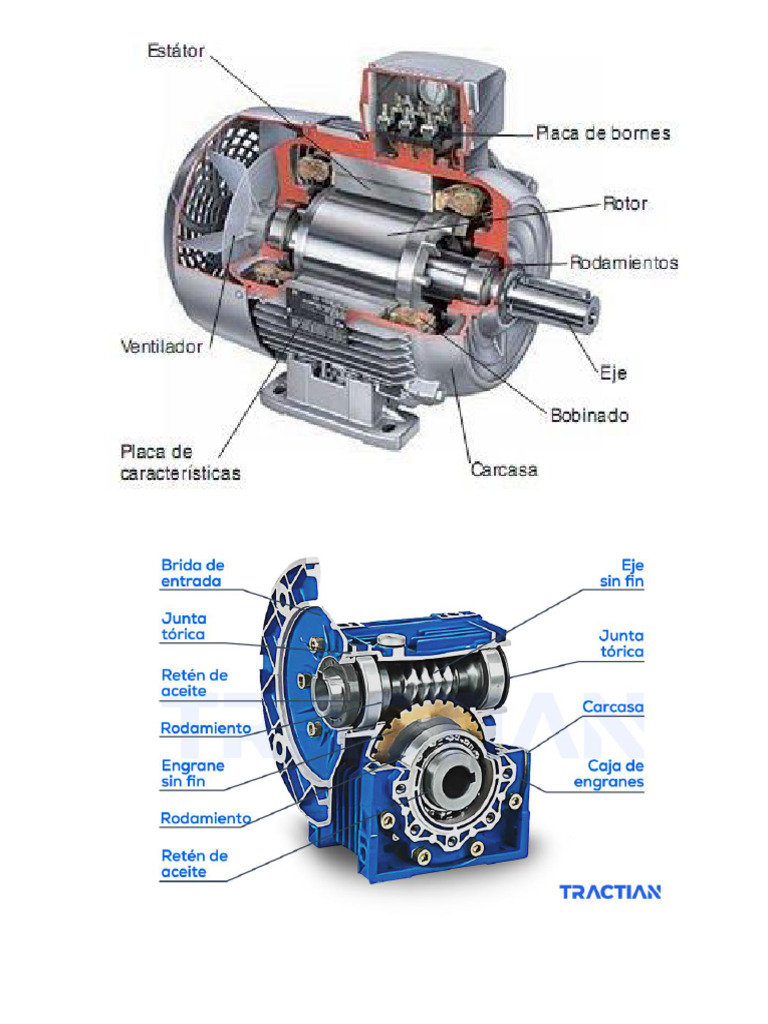 motor y reductor | PDF