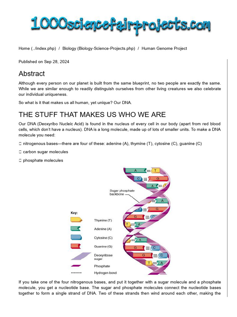 Understanding the Human Genome Project | PDF | Human Genome | Dna