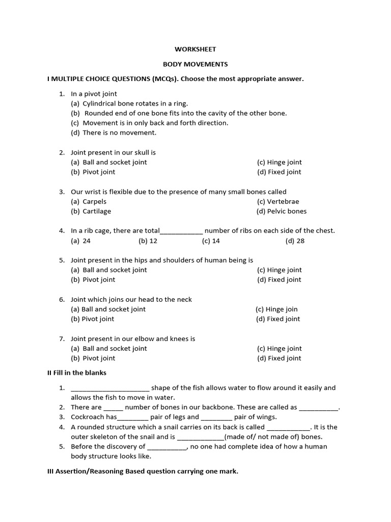 CH-5 S1 WORKSHEET 2 (1) | PDF | Skeleton | Vertebral Column
