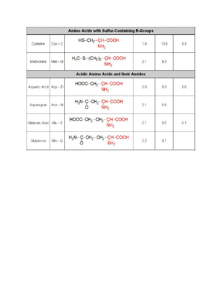 Table of Amino Acids | PDF
