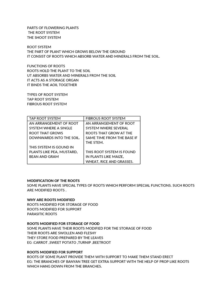 Modification of The Roots | PDF