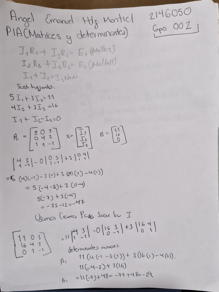 2146050_AEHM_EV. PIA MyD 002 | PDF