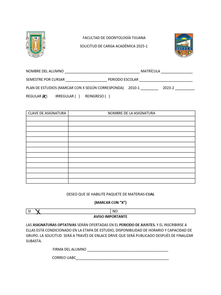 Formato Correcto | PDF