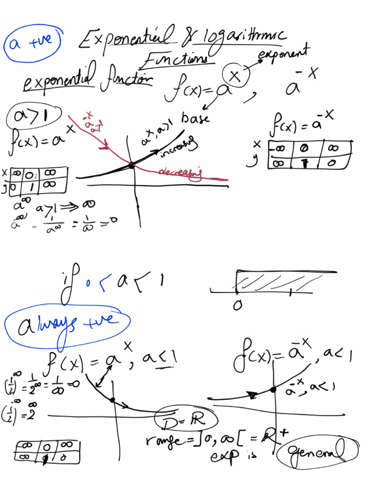 DR Mervat Expo Tab Notes | PDF