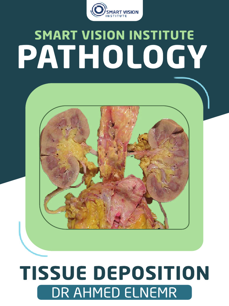 Patho by DR - Elnemr (108) (Part.2) | PDF | Staining | Cholesterol