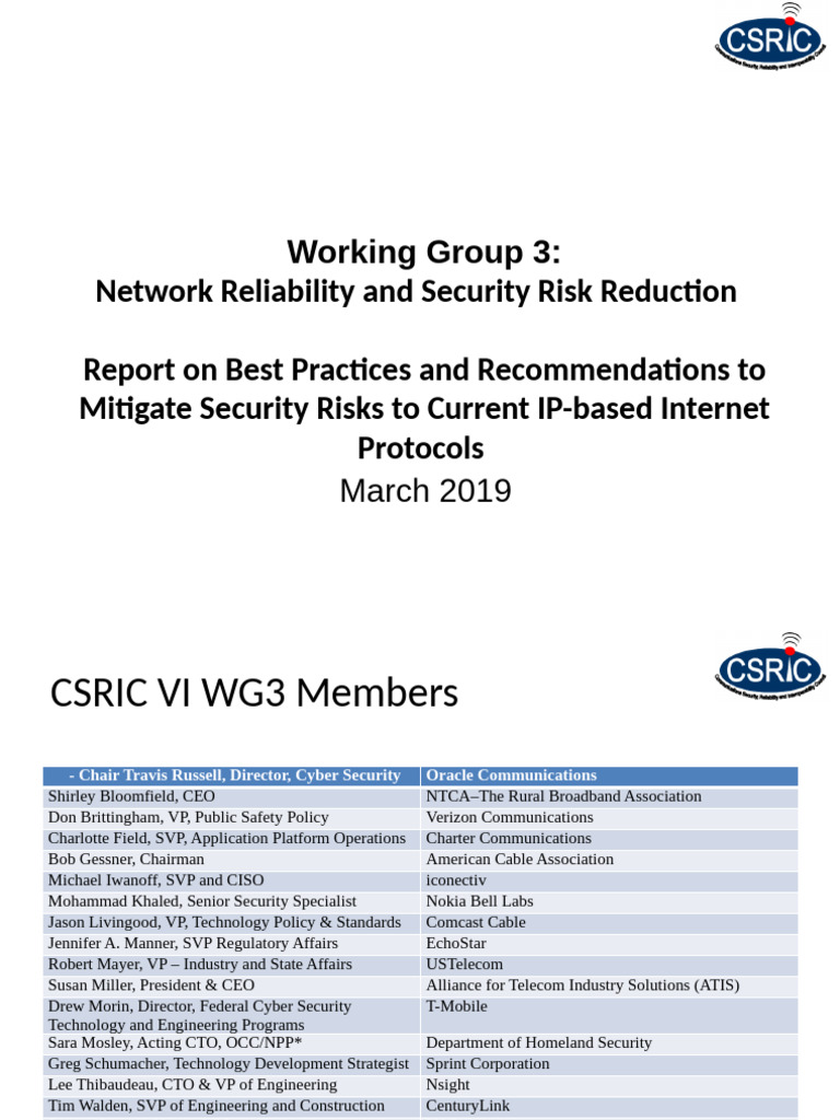 csric6wg3_mar19 | PDF | Domain Name System | Denial Of Service Attack