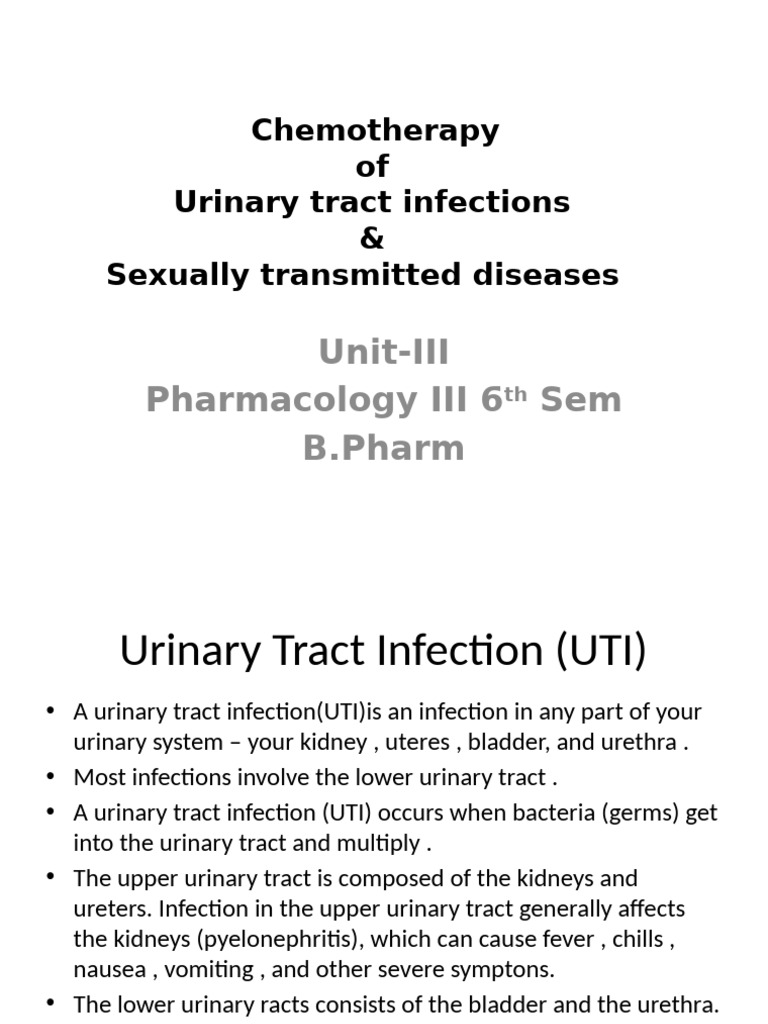 UTI | PDF | Urinary Tract Infection | Diseases And Disorders