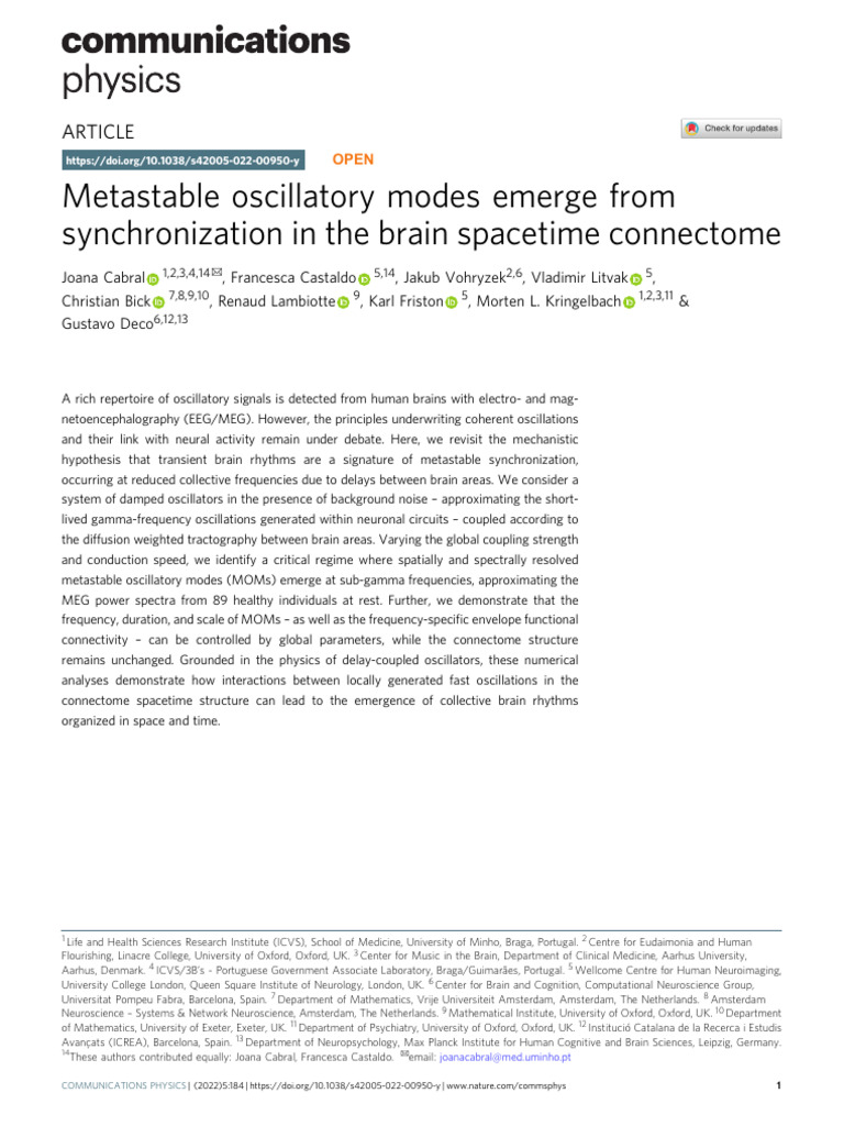 Metastable_connectome | PDF | Neural Oscillation | Neuroscience