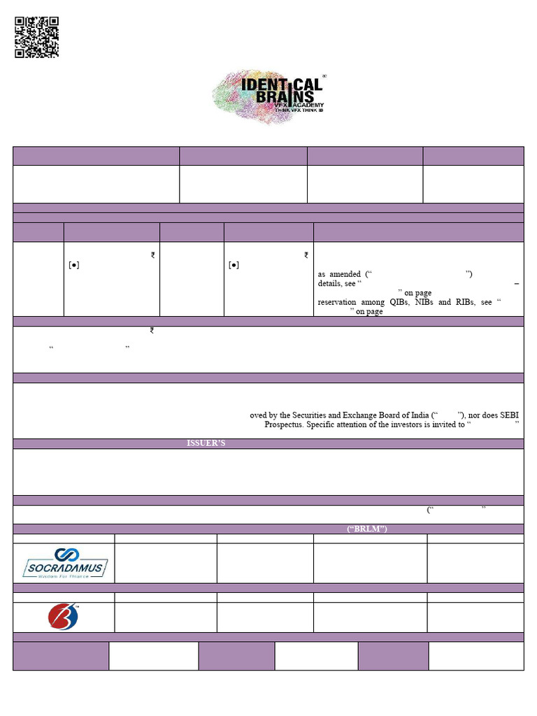 Identical Brains Studios IPO Prospectus | PDF | Investing | Stocks