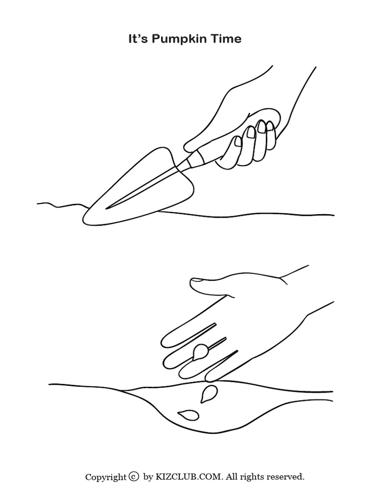Pumpkin Time | PDF