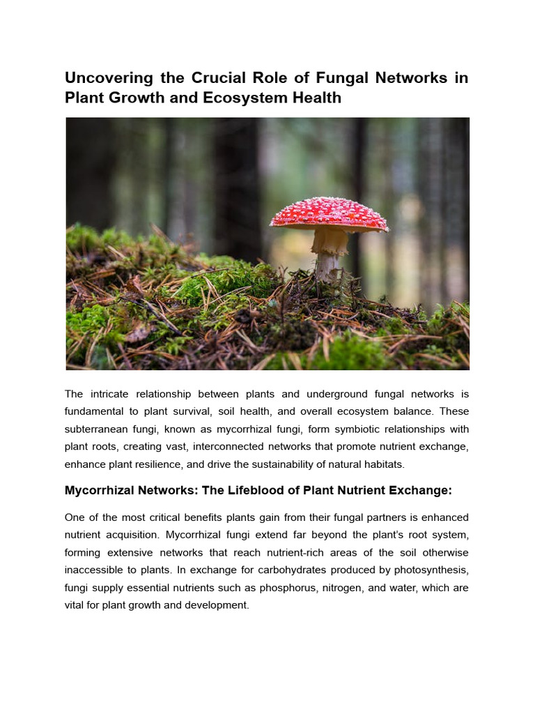 Role of Fungal Networks in Plant Growth and Ecosystem Health | PDF ...