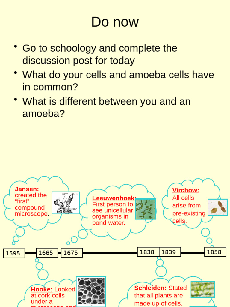 Cells and Organelles Notes | PDF | Cell (Biology) | Chloroplast