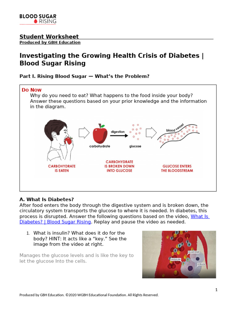 diabetes_part_1 | PDF | Diabetes | Insulin