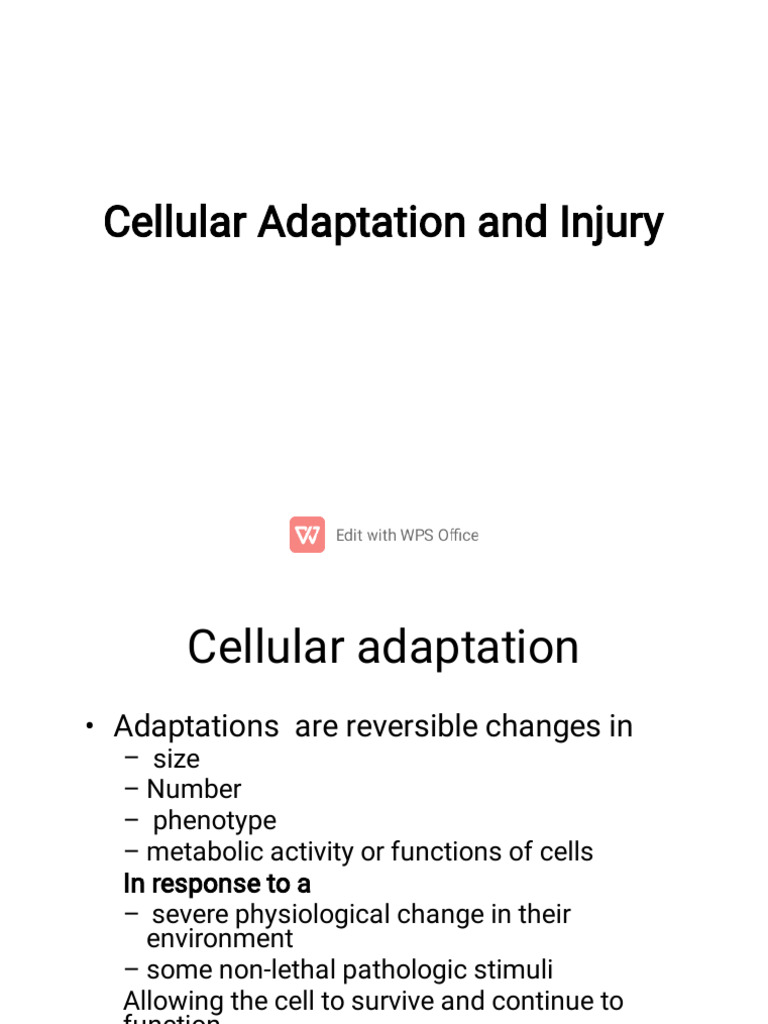 Cellular Adaptation and Injury | PDF | Anatomy | Medical Specialties