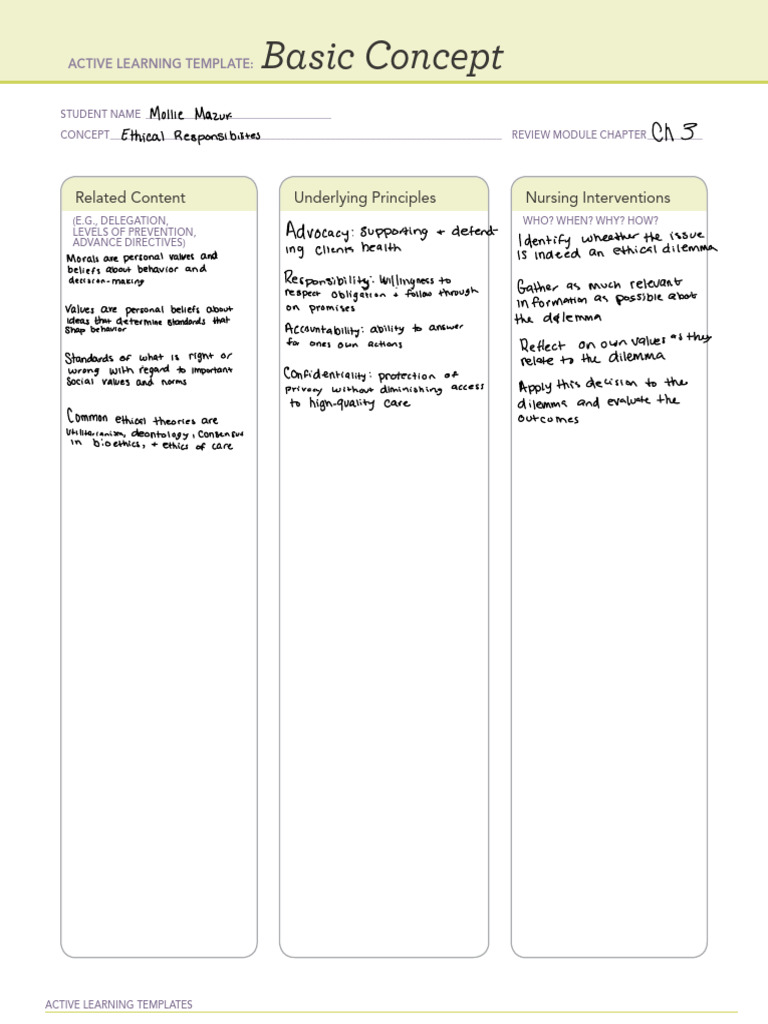 Active Learning Templates for Nursing | PDF | Communication ...